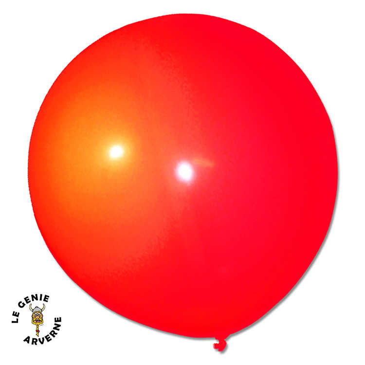Ballon Géant (diamètre 48 cm)