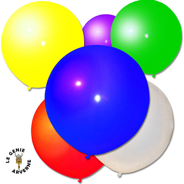 Ballon Géant (diamètre 48 cm)