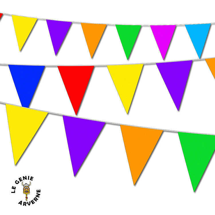 Guirlande à Fanions Papier 10m Multicolore